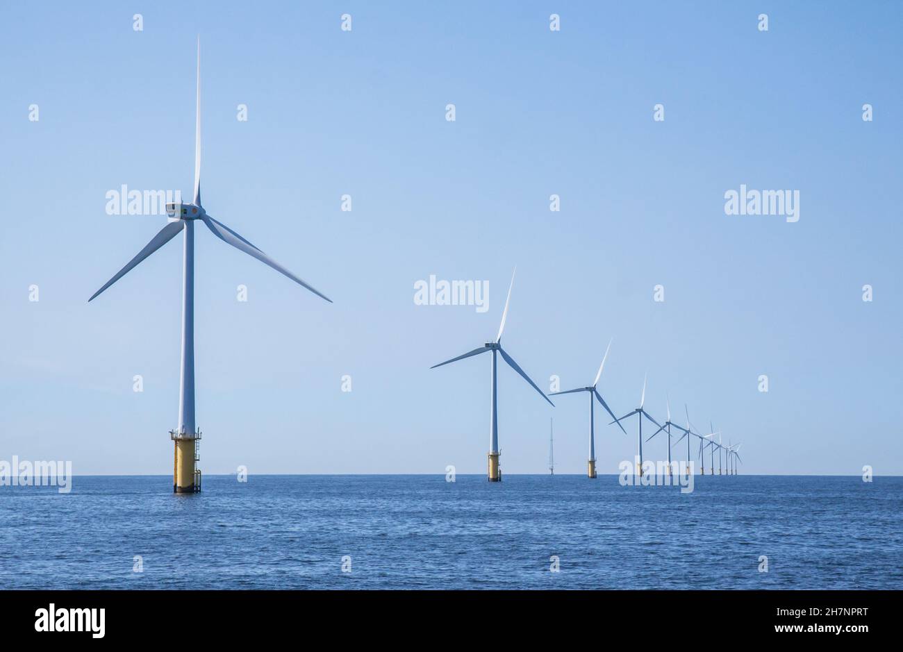 Offshore wind farm near IJmuiden, Netherlands Stock Photo - Alamy