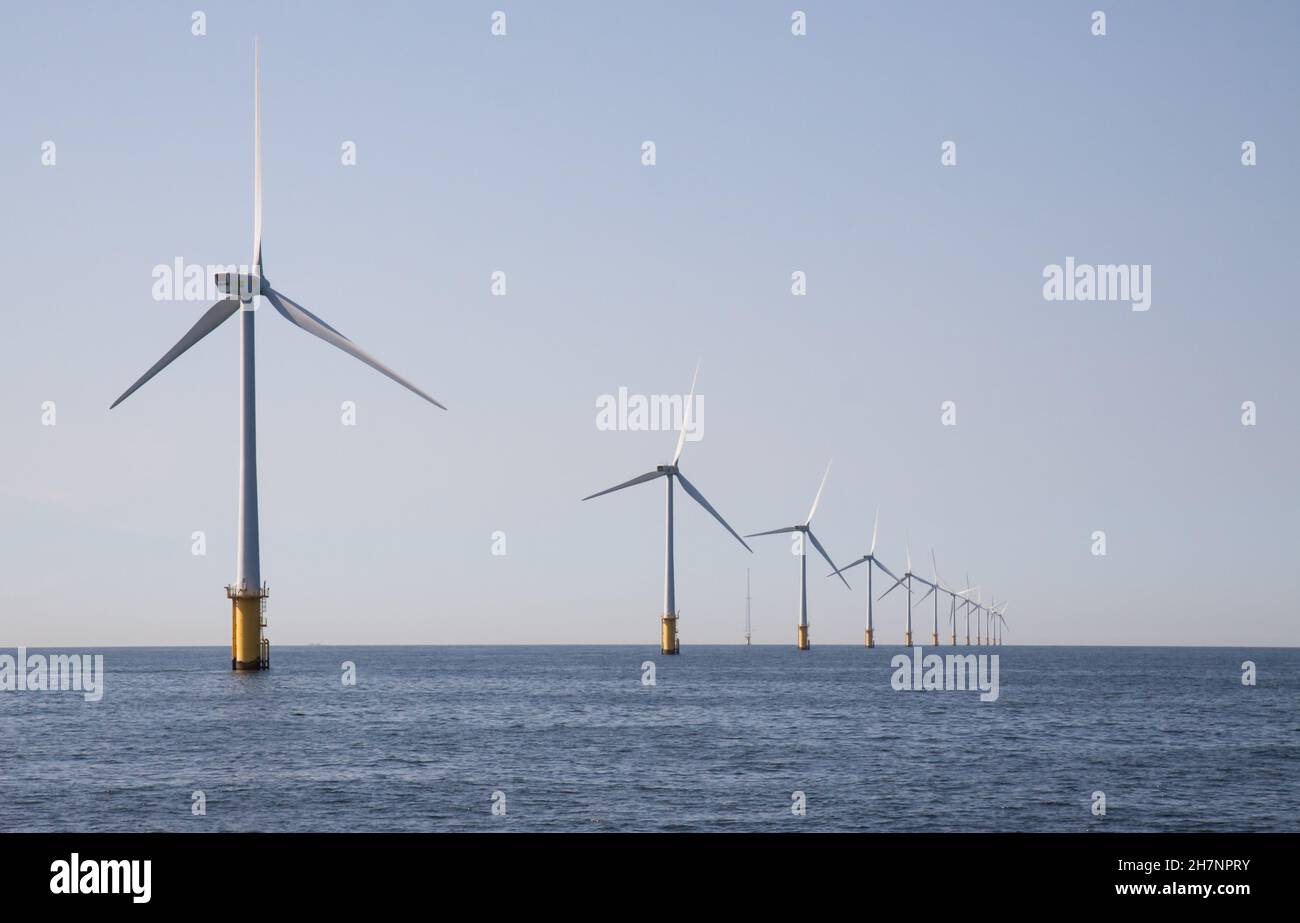 Offshore wind farm near IJmuiden, Netherlands Stock Photo - Alamy