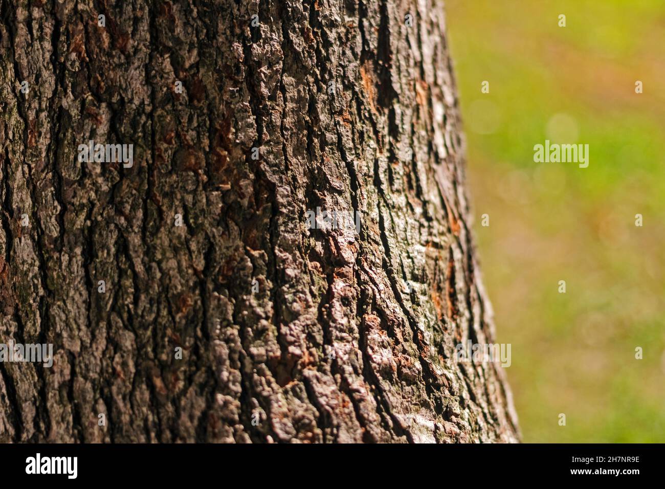 Organic wather hi-res stock photography and images - Alamy