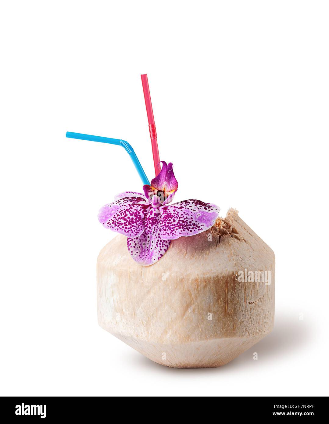 Fresh coconut water drink with orchid flower isolated on white ...