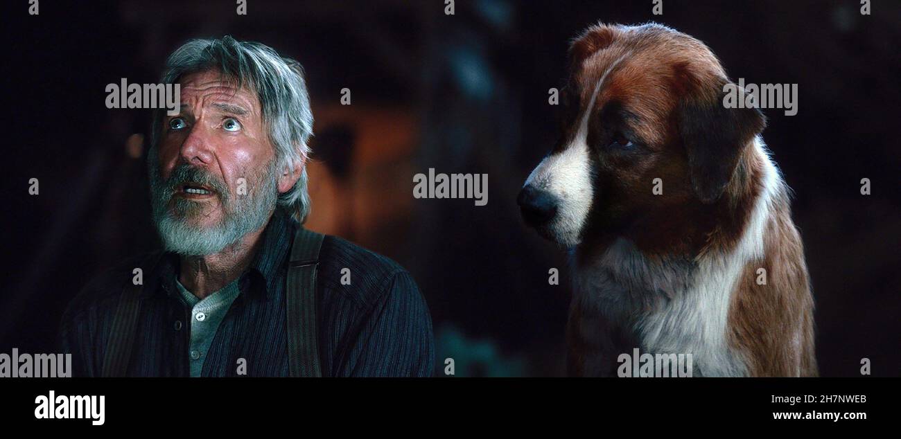 The Call Of The Wild Buck The Dog
