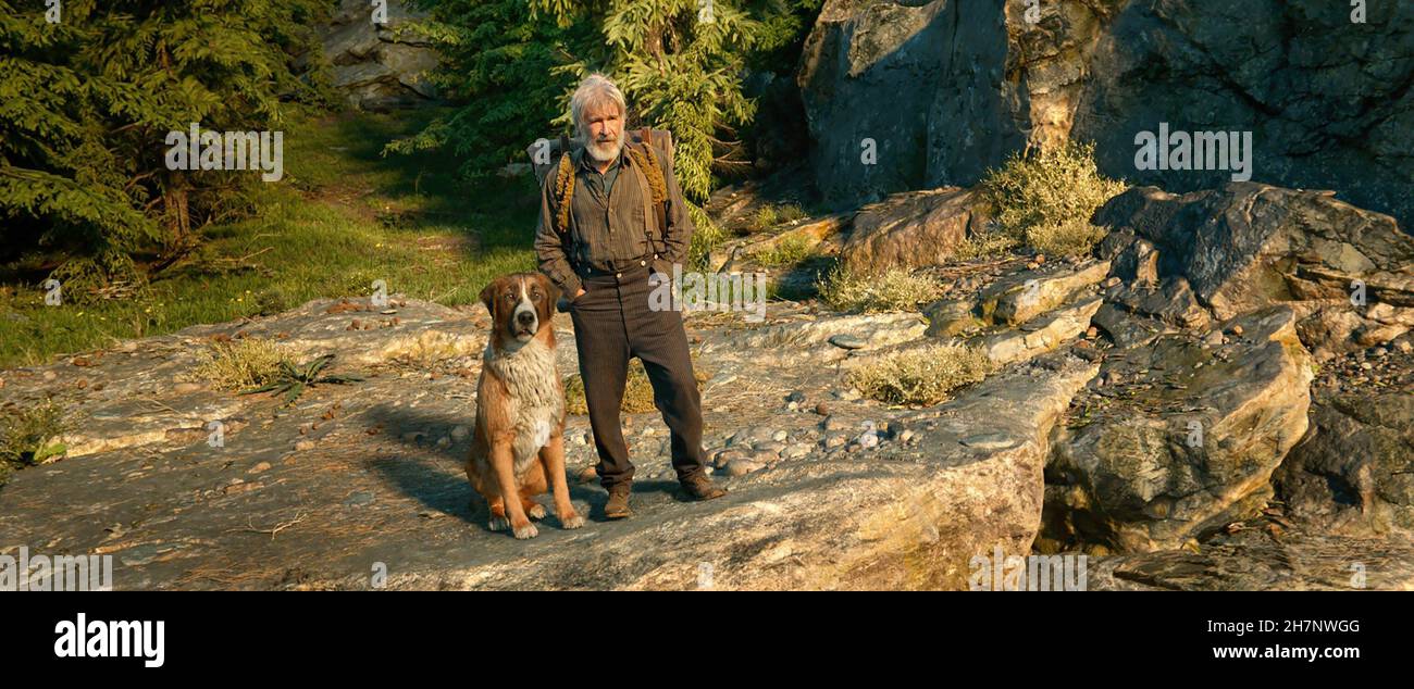 The Call Of The Wild Buck The Dog