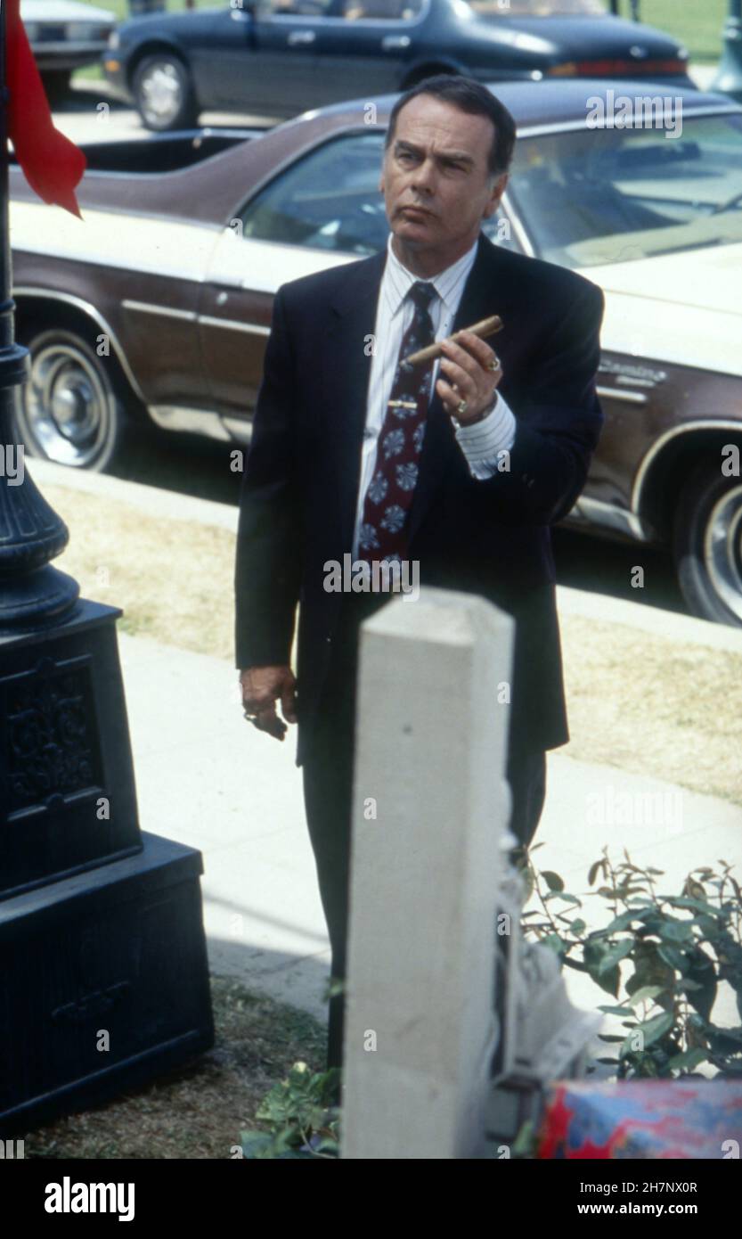 Mr. Wrong Year : 1996 USA Director : Nick Castle Dean Stockwell Stock ...