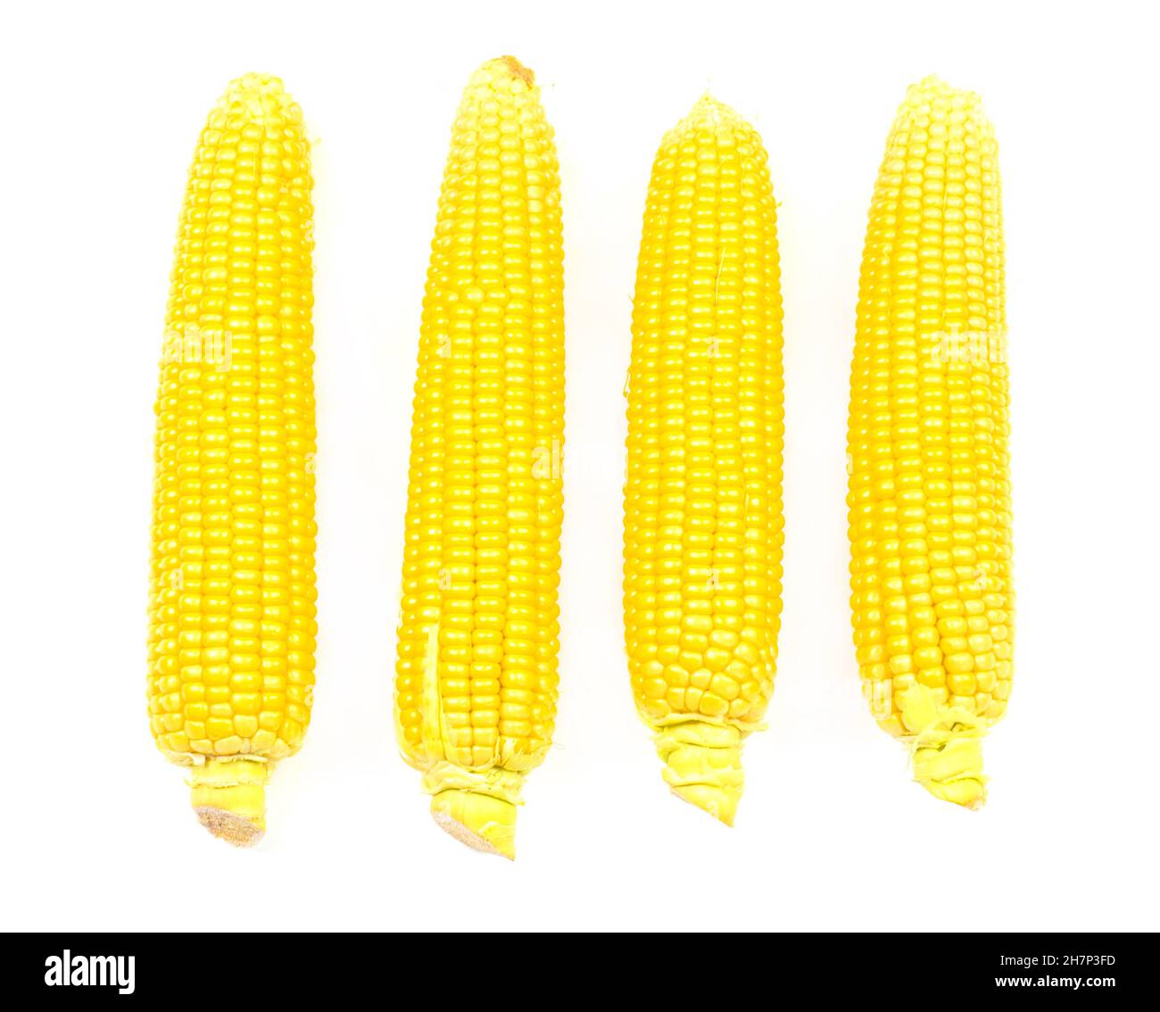 Four heads of corn isolated on white background Stock Photo - Alamy