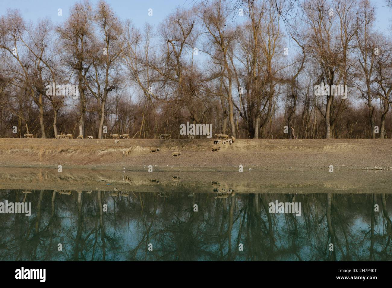 Sindh river hi-res stock photography and images - Alamy