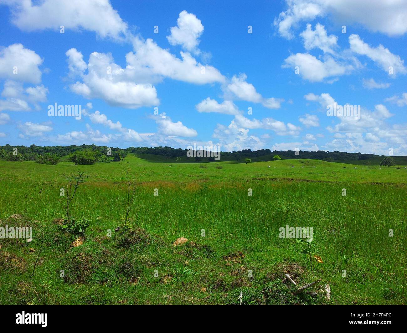 Lakes and Open Fields Stock Photo - Alamy