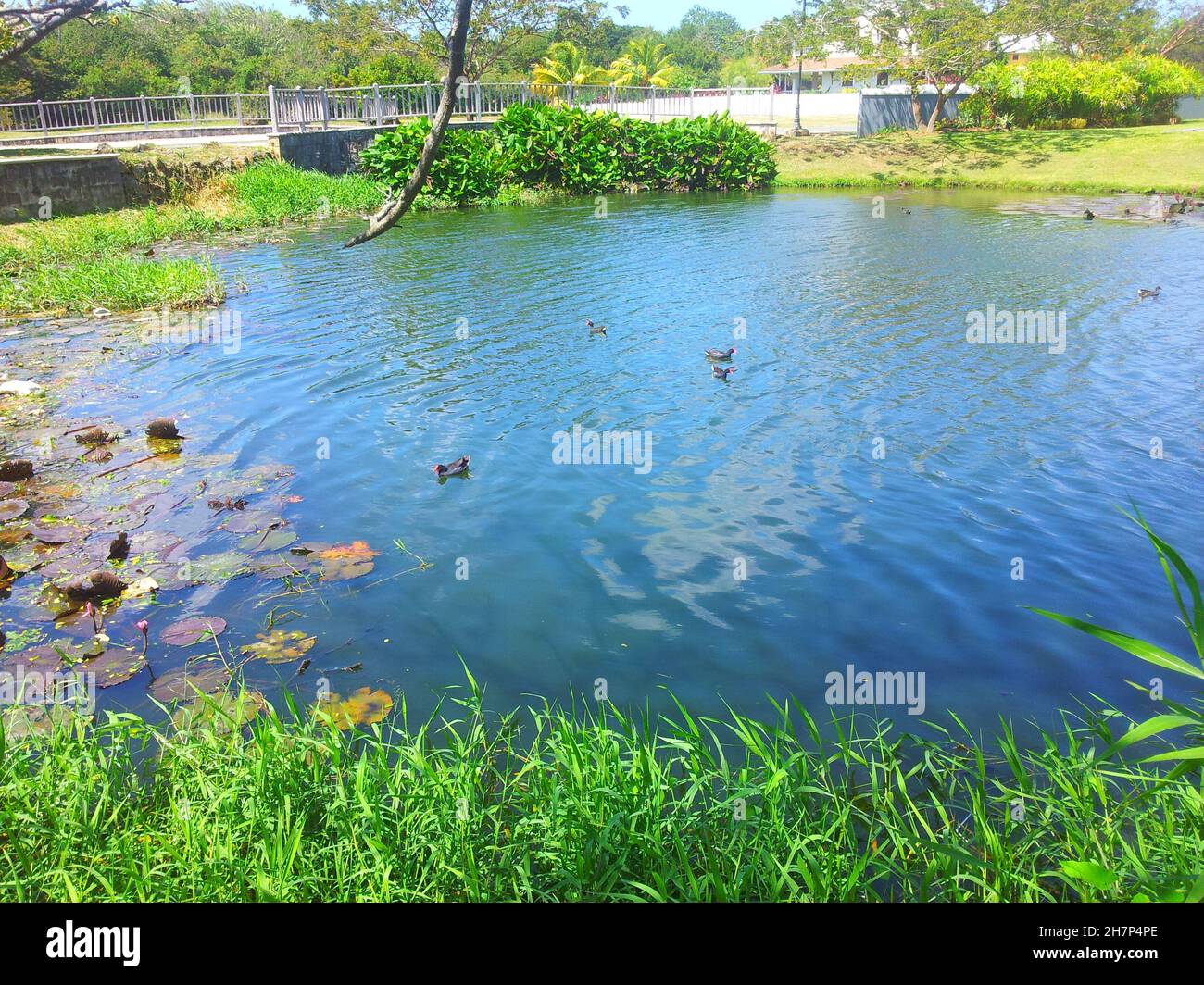 Lakes and Open Fields Stock Photo - Alamy