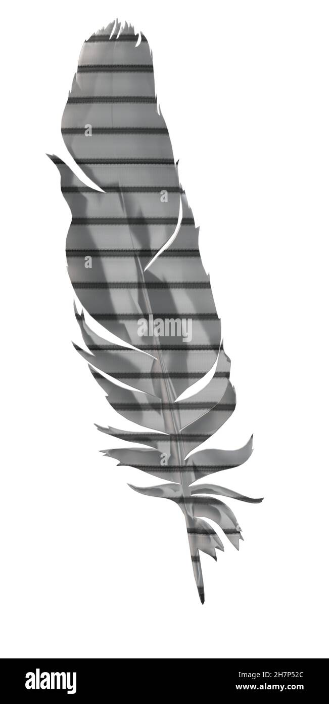 Black and silver feather Stock Vector Images - Alamy