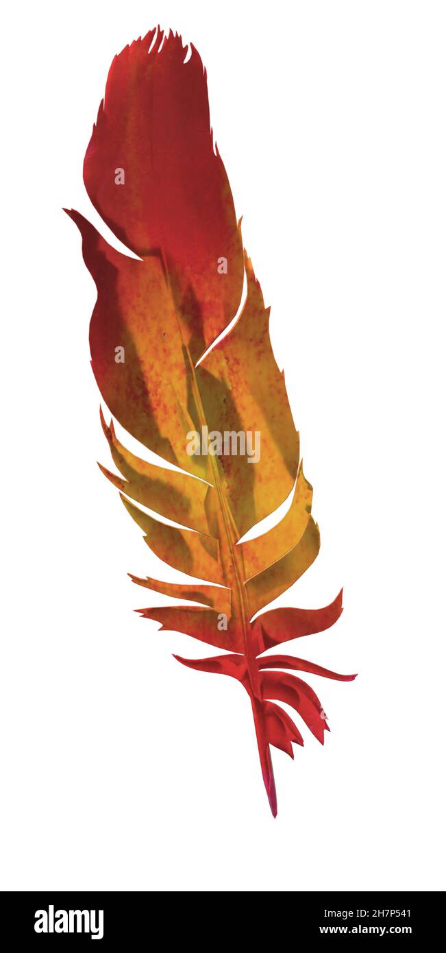 Red feather bird Cut Out Stock Images & Pictures - Alamy