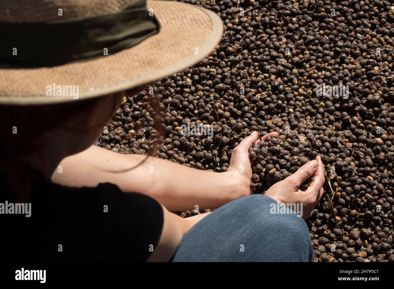 Cafe farmer hi-res stock photography and images - Alamy
