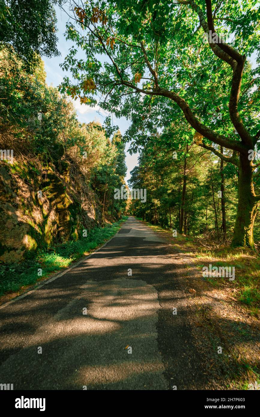 Narow road hi-res stock photography and images - Alamy