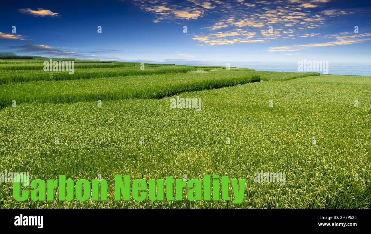 3d rendering of carbon ecology background label concept Stock Photo - Alamy
