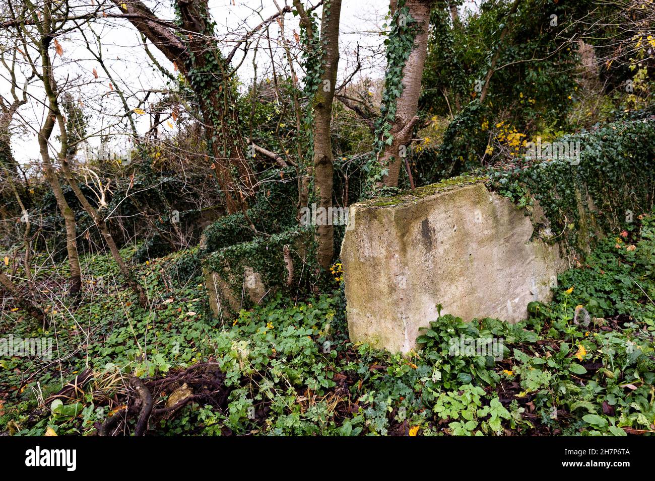 Emmerthal, Germany. 24th Nov, 2021. The foundation of a grandstand ...