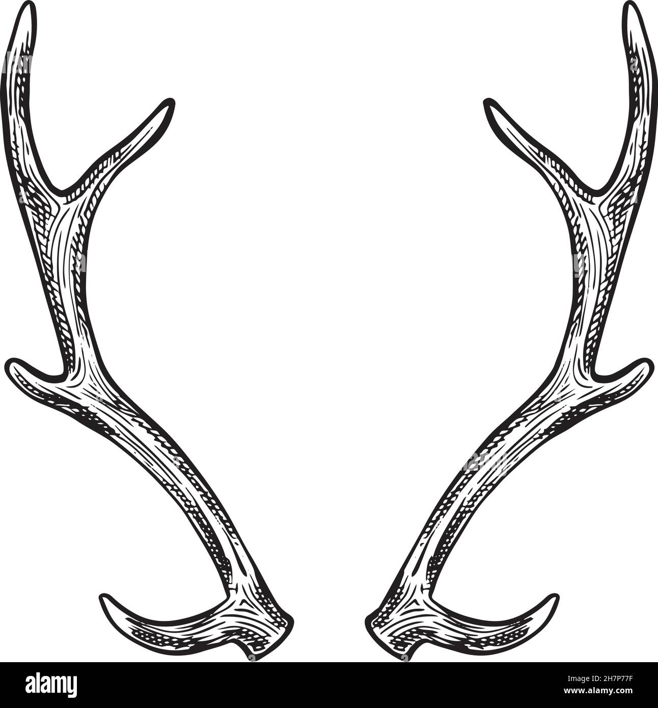 hand drawn icon. Horns. Isolated on white background Stock Vector Image ...