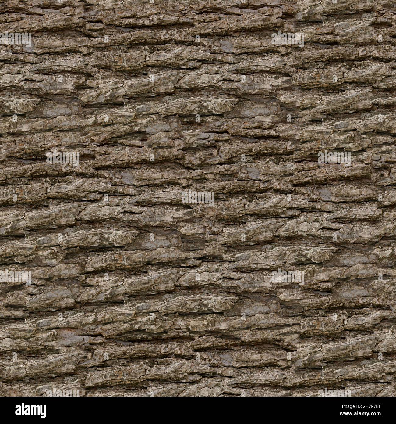 Texture bark 4K high quality Stock Photo - Alamy