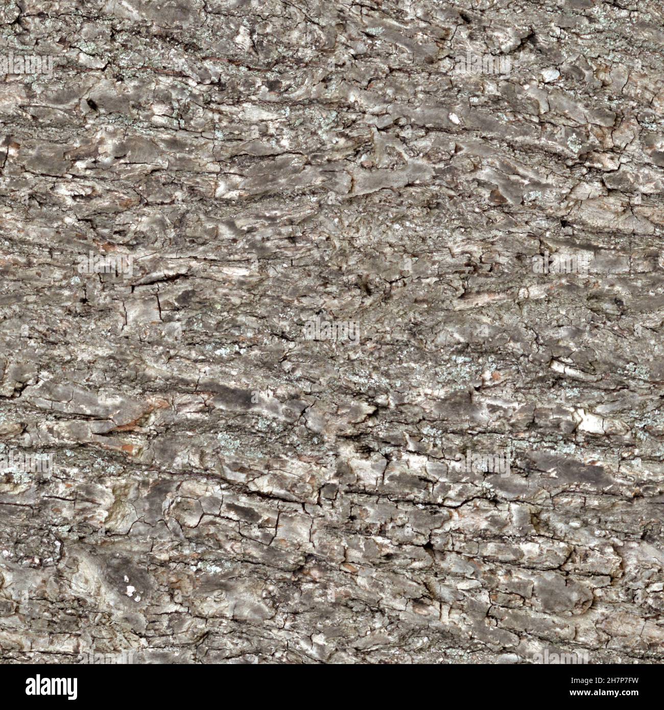 Texture bark 4K high quality Stock Photo - Alamy