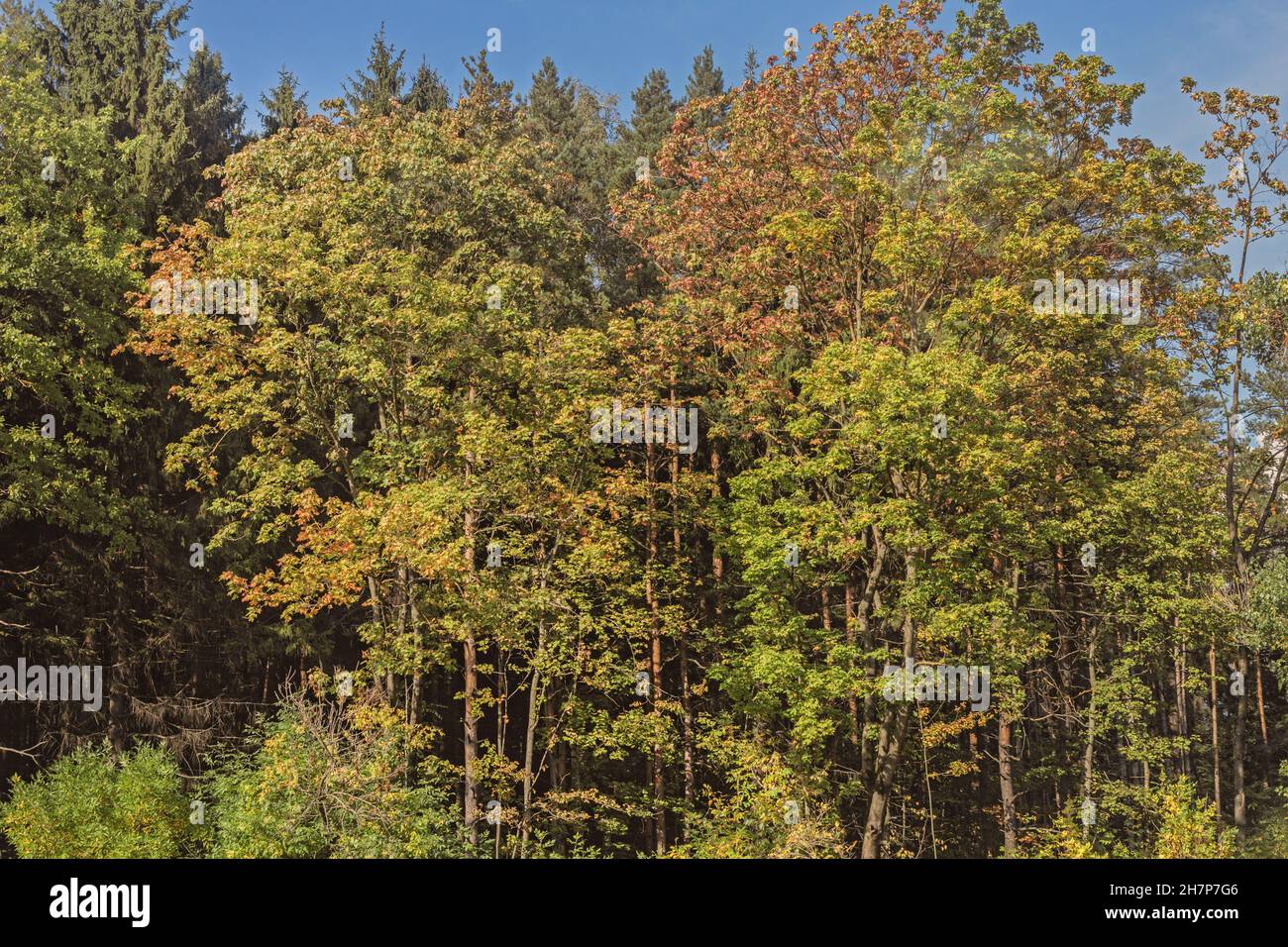 Fall weather hi-res stock photography and images - Alamy