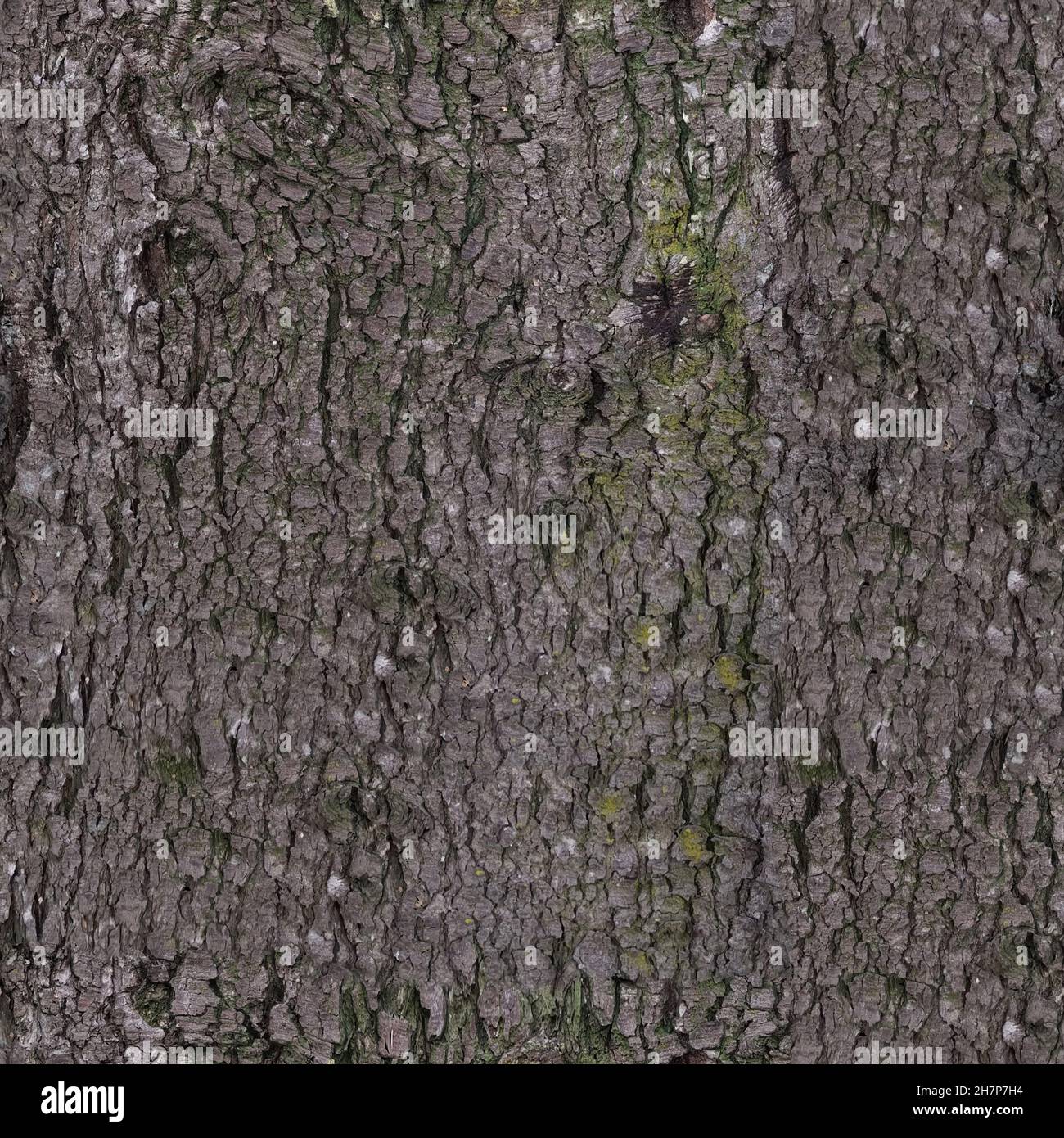 Texture bark 4K high quality Stock Photo - Alamy