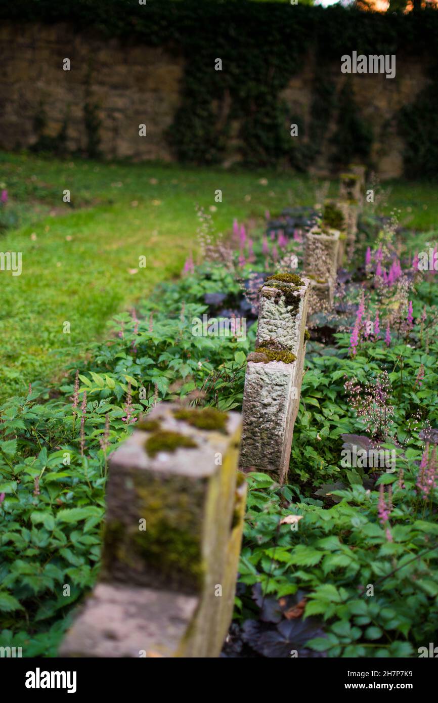 Duck Grave High Resolution Stock Photography and Images - Alamy