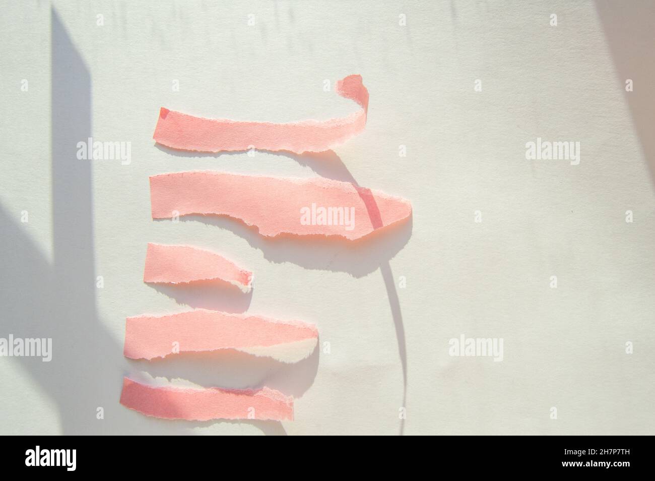 Abstract pink torn paper strips on a white background with a shadow ...