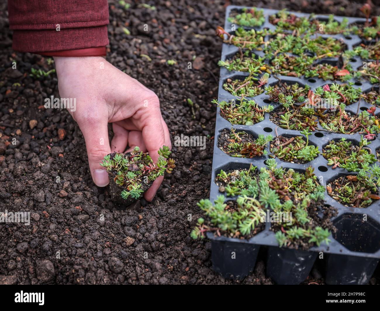 Oberhausen, North Rhine-Westphalia, Germany - flat roof with roof ...