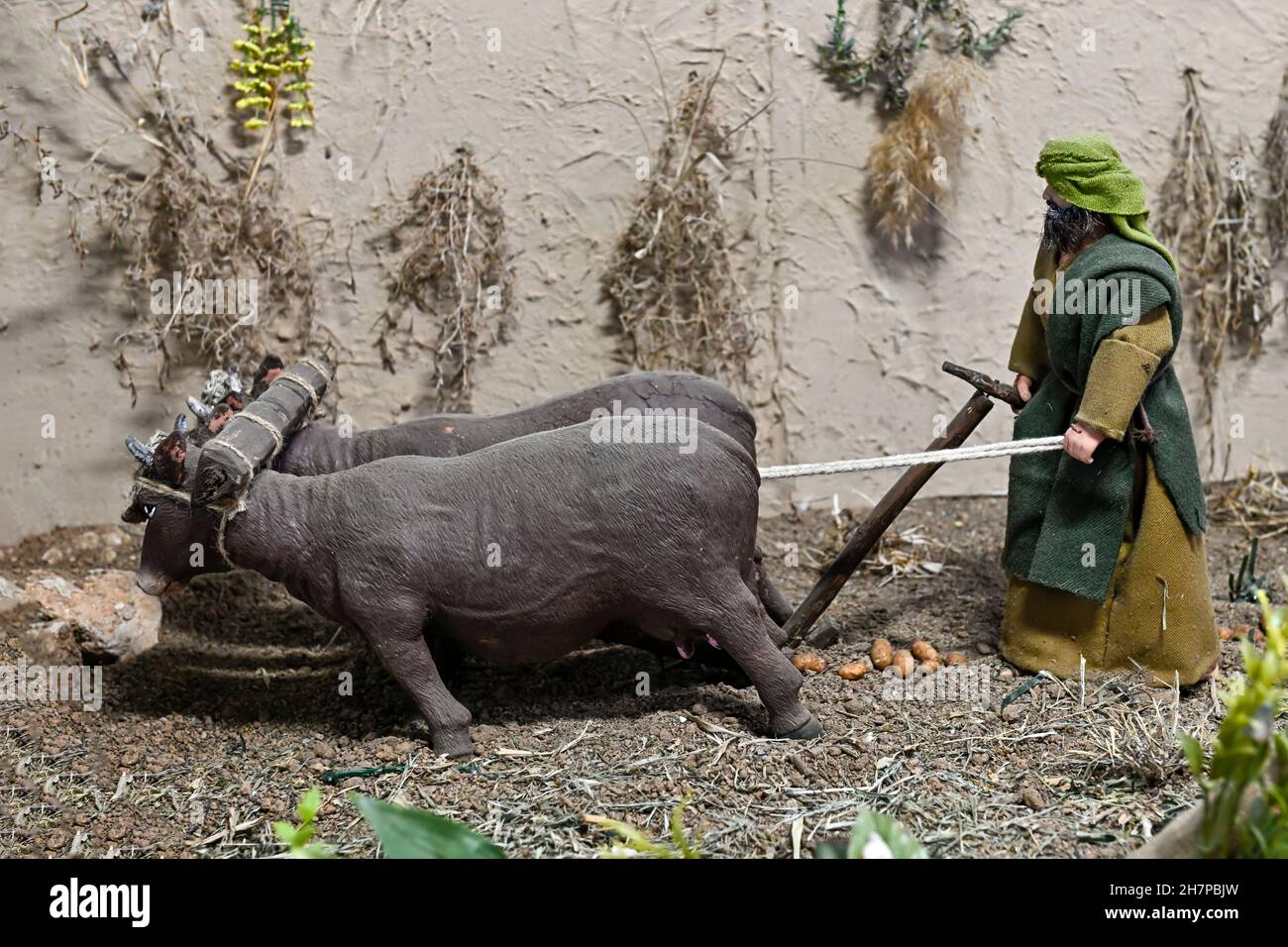 Nativity scene - Different scenes of a Christmas nativity scene Stock ...