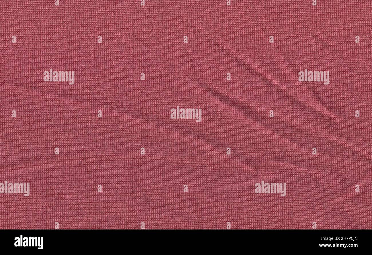 Purple coquelicot colored wool sweater texture. Woolen carnation fabric ...