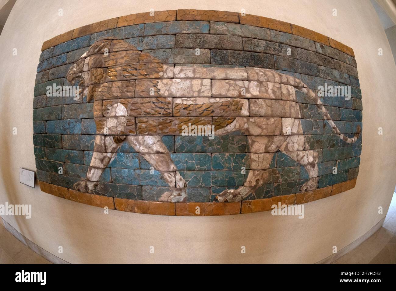 Darius king of Persia palace bas relief detail of Lion Stock Photo - Alamy