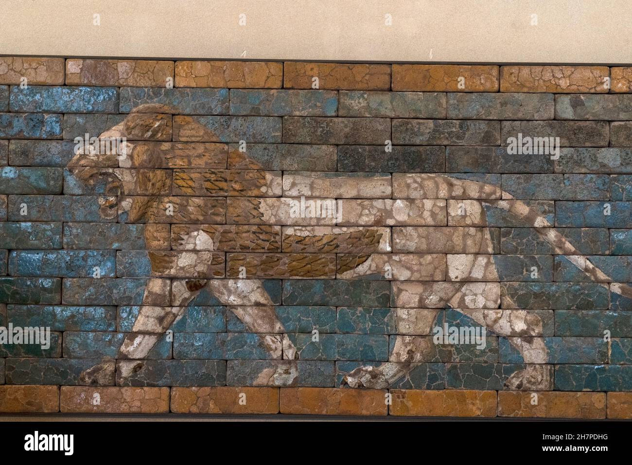 Darius king of Persia palace bas relief detail of Lion Stock Photo - Alamy