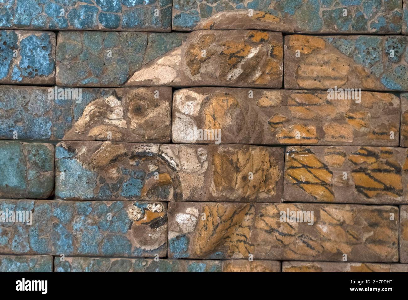 Darius king of Persia palace bas relief detail of Lion Stock Photo - Alamy