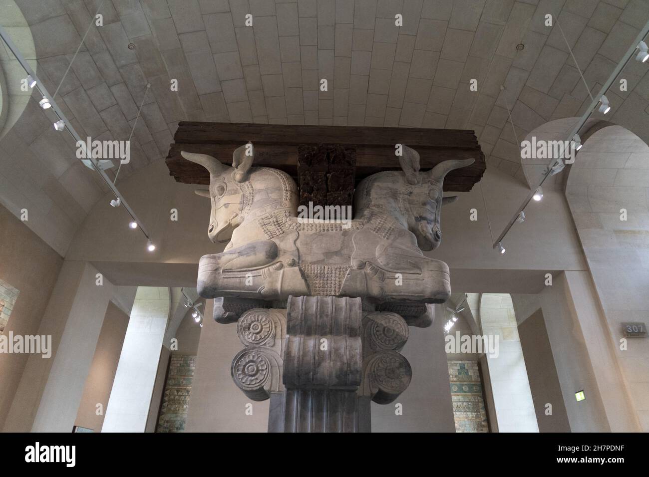 Bull statue of Darius king of Persia palace detail Stock Photo - Alamy
