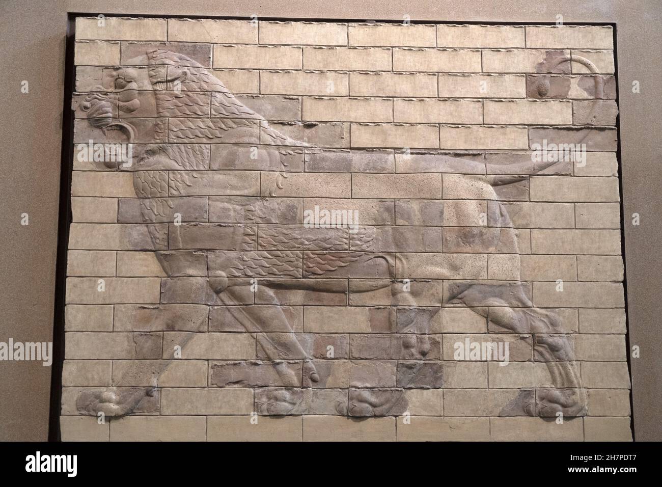 Darius king of Persia palace bas relief detail of Lion Stock Photo - Alamy