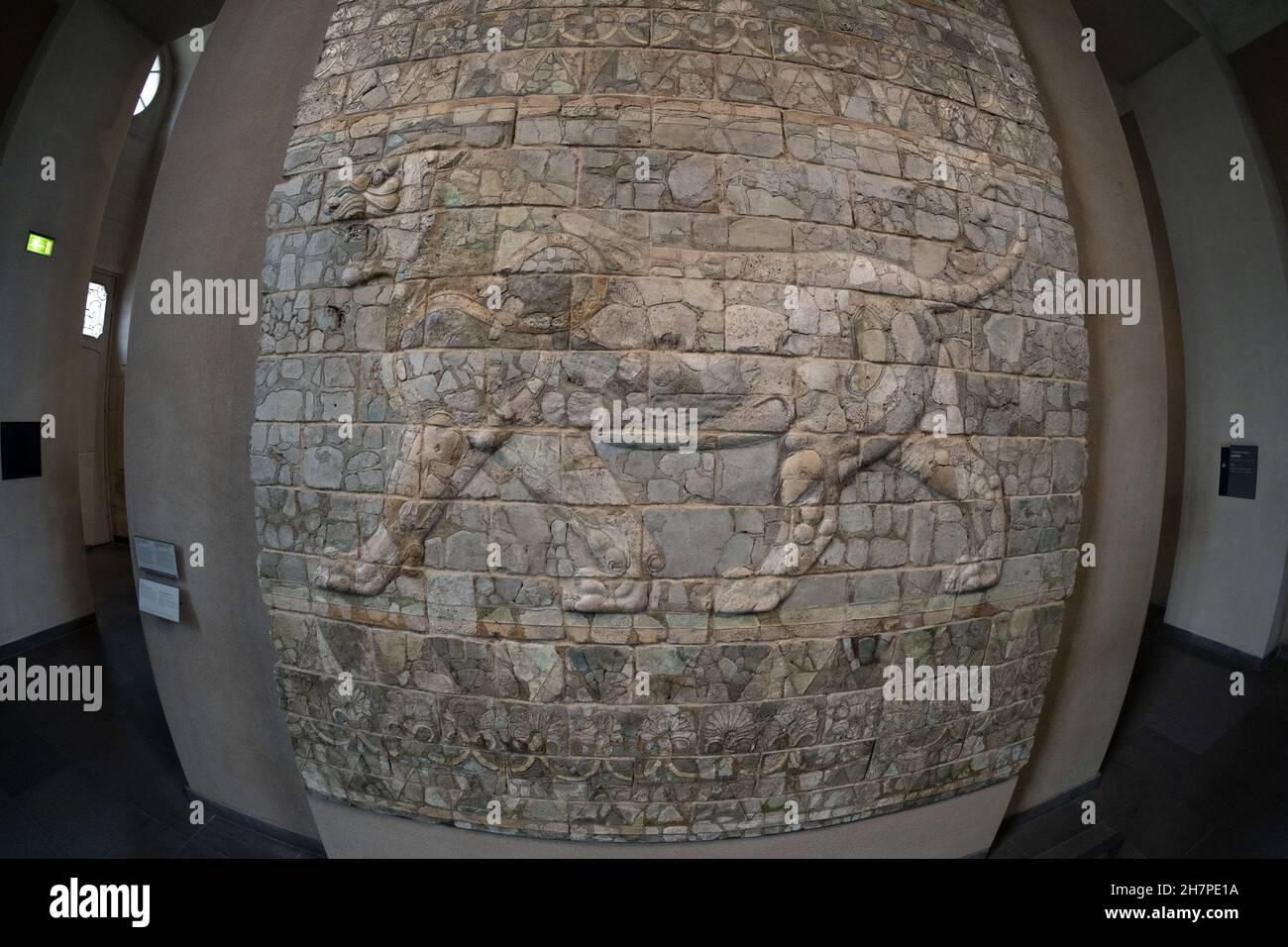 Darius king of Persia palace bas relief detail of Lion Stock Photo - Alamy