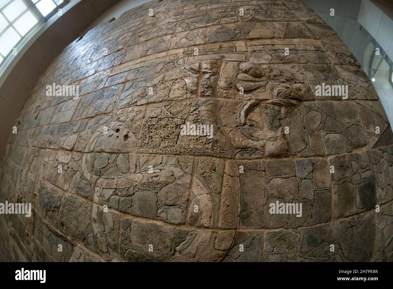Darius king of Persia palace bas relief detail of Lion Stock Photo - Alamy