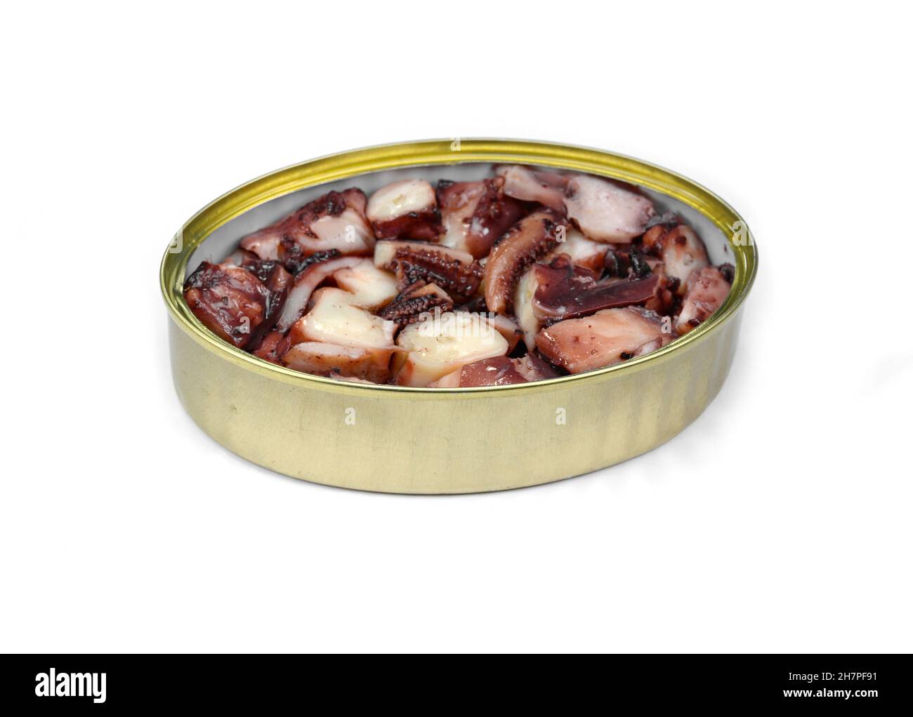 Canned octopus in olive oil with white background Stock Photo - Alamy
