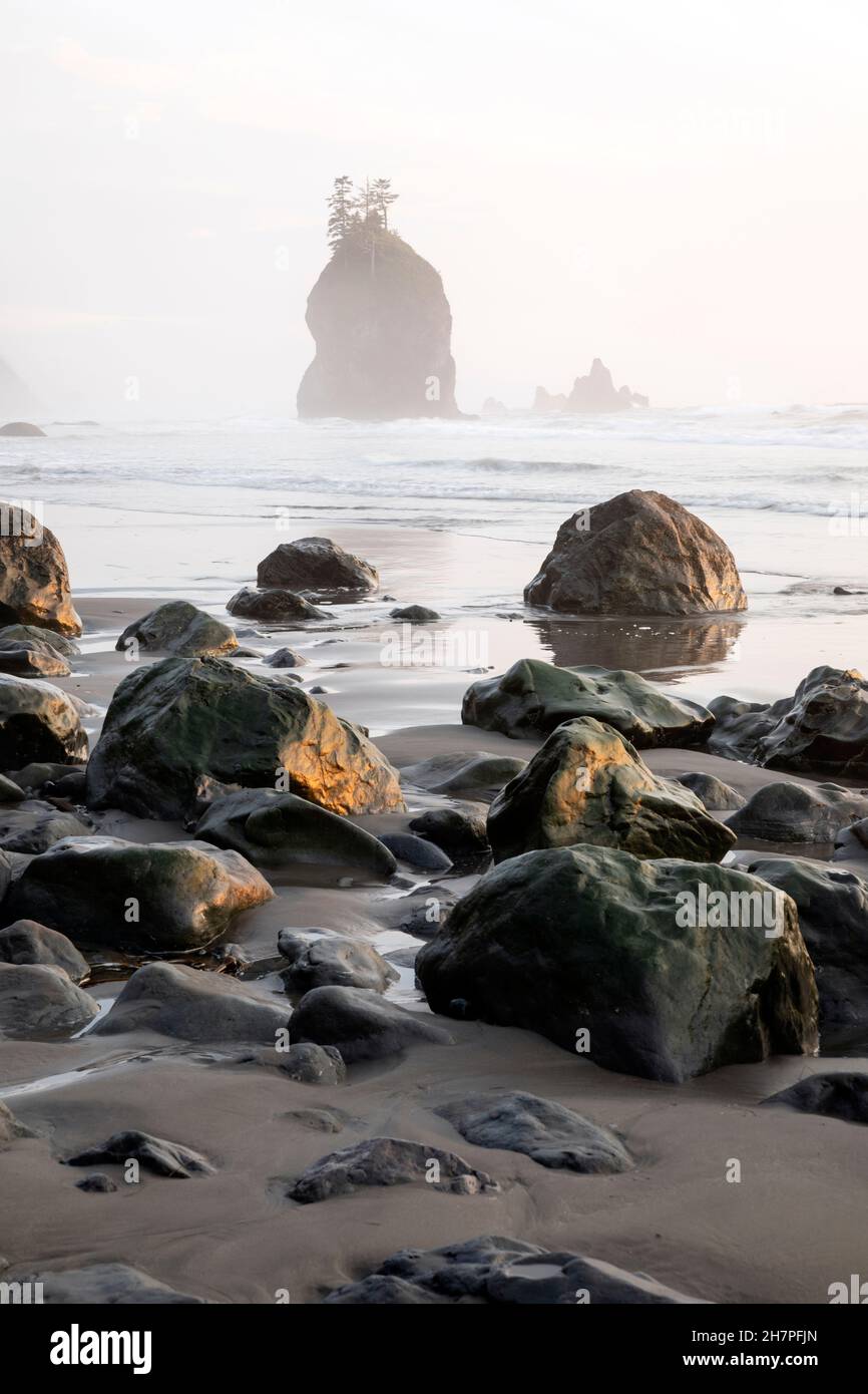 Washington pacific coast hi-res stock photography and images - Alamy