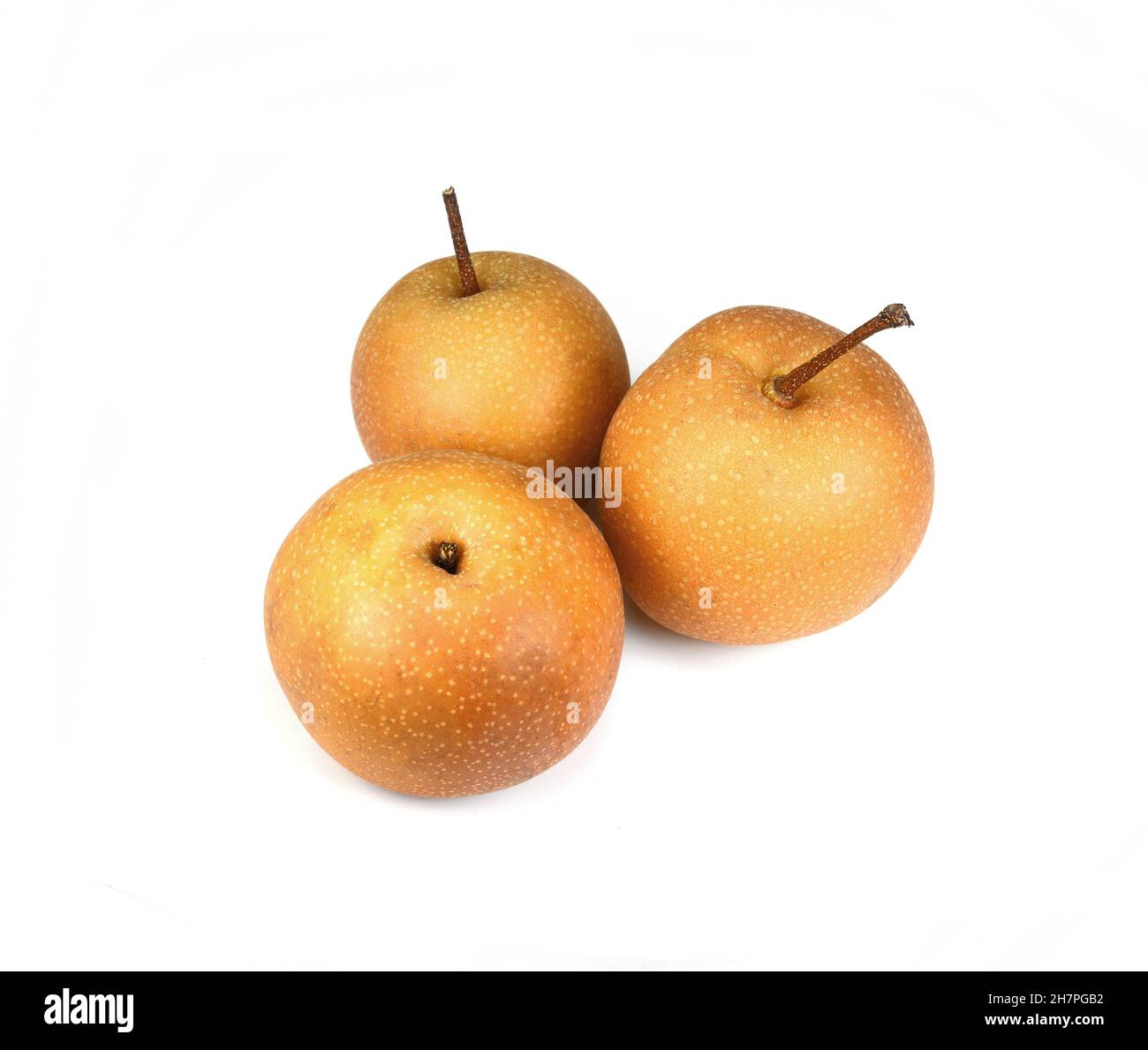 Snow pear or Fengsui pear on white background, Korea pear fresh fruit ...