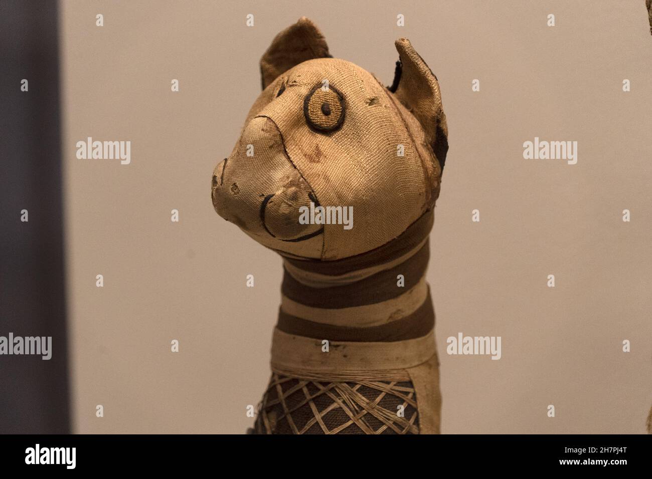 Mummified pet hi-res stock photography and images - Alamy