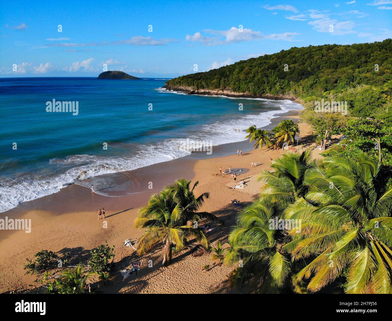 Guadeloupe sandy beach drone view. Caribbean vacation landscape. Perle ...