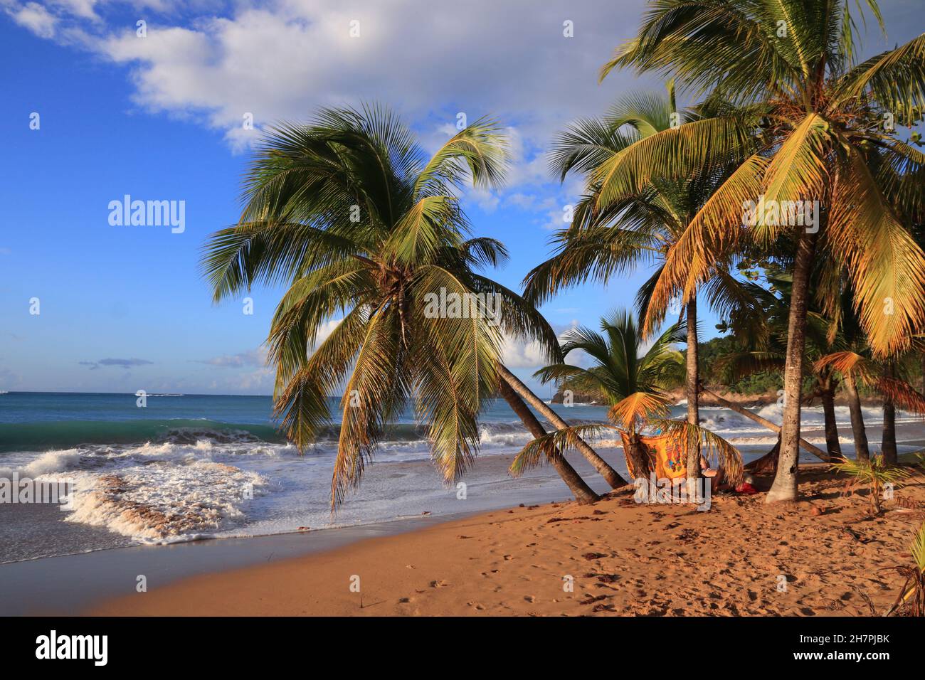 Guadeloupe sandy beach. Caribbean vacation landscape. Perle Beach ...