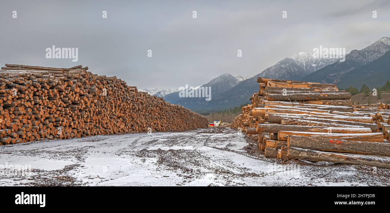 Wood factory canada hi-res stock photography and images - Alamy