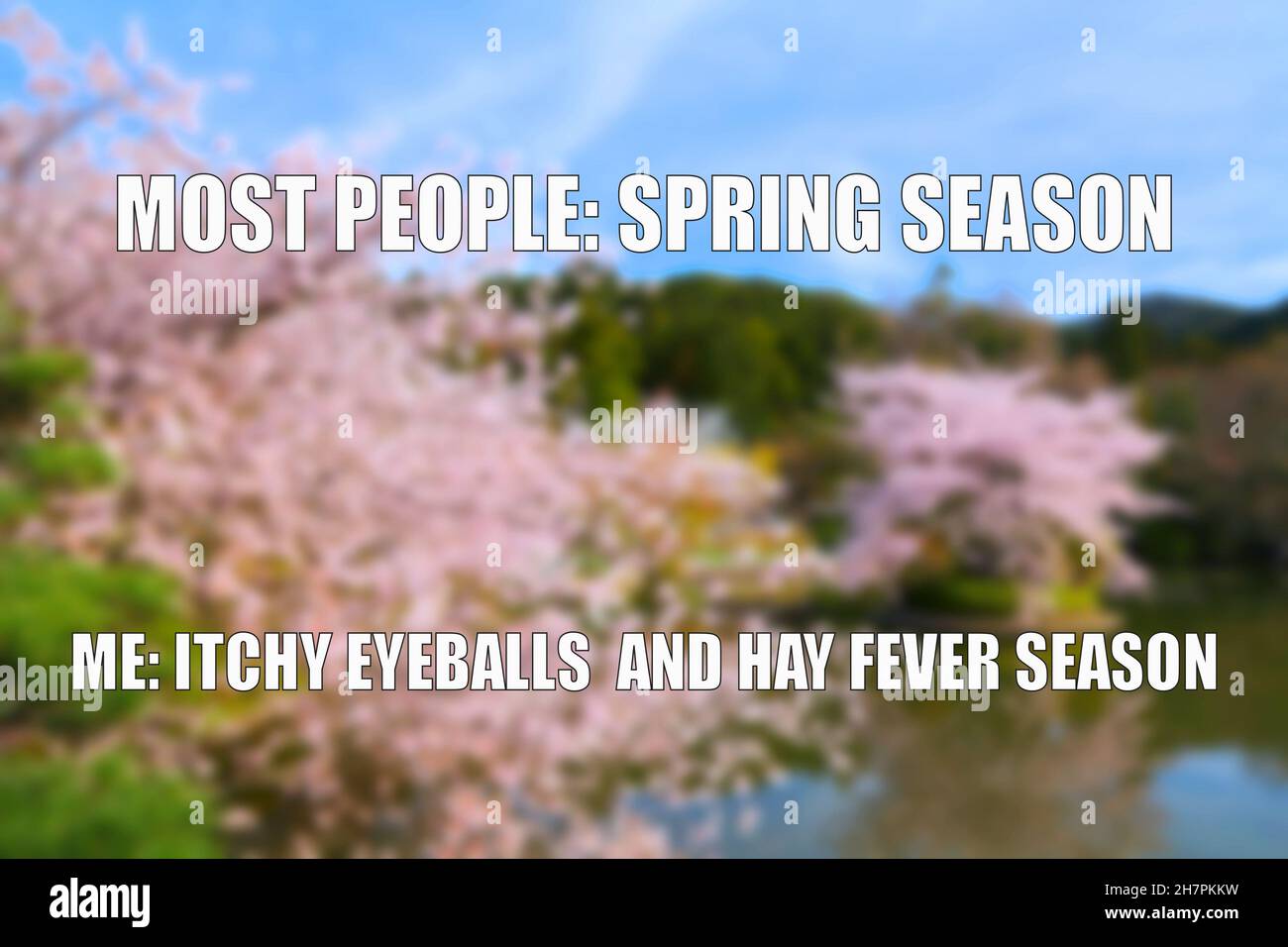 Allergies season funny meme for social media sharing. Spring time ...