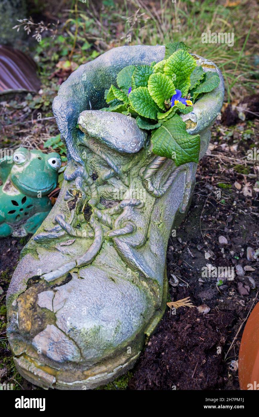 Boot shaped plant hi-res stock photography and images - Alamy
