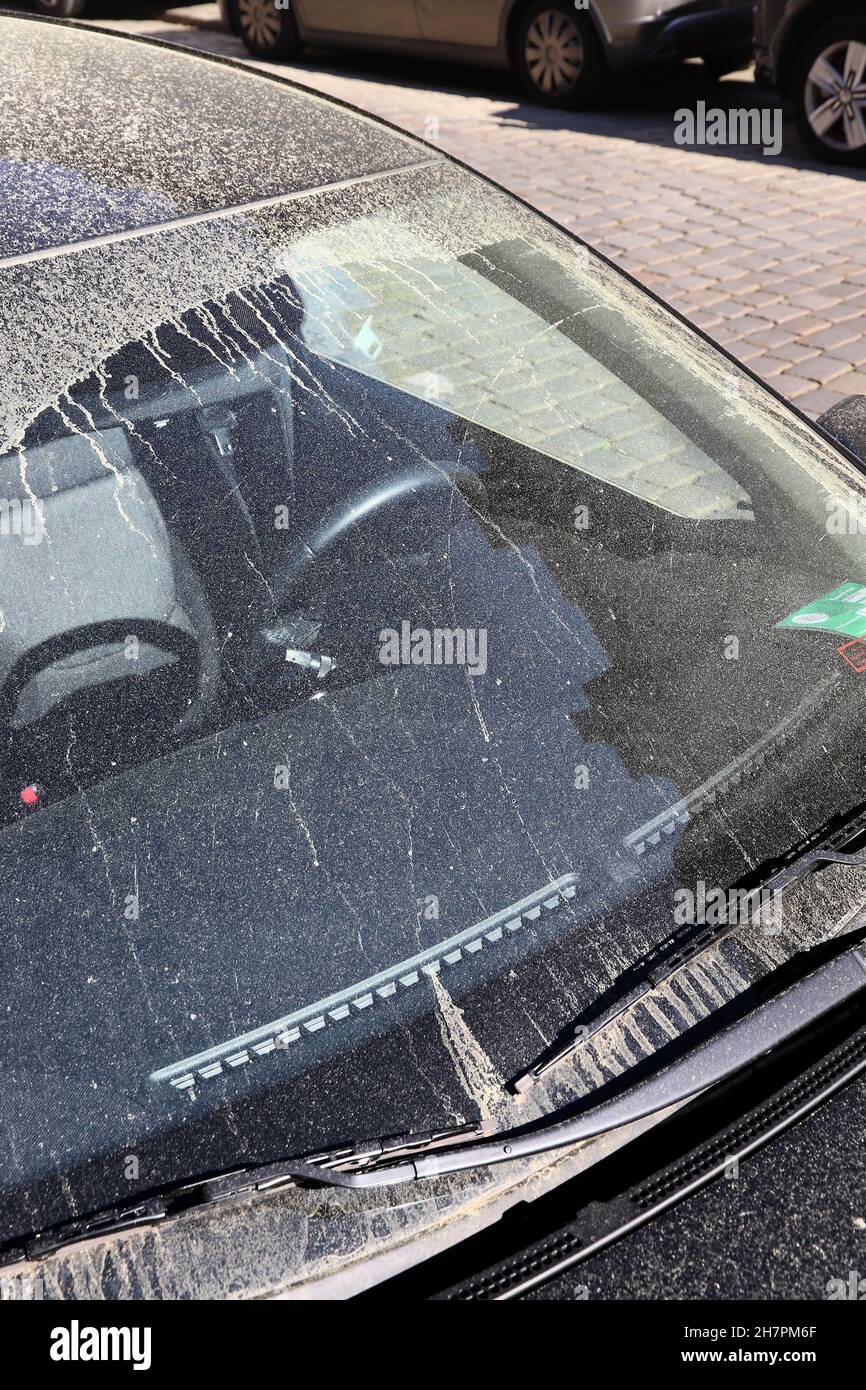 Allergy season. Car windshield covered in tree pollen in spring. Pollen ...
