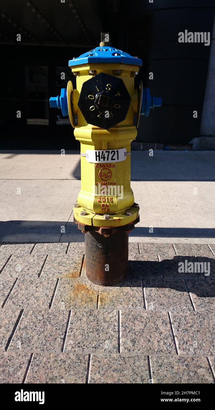 Vertical shot of a yellow fire hydrant on a sidewalk in Canada Stock ...
