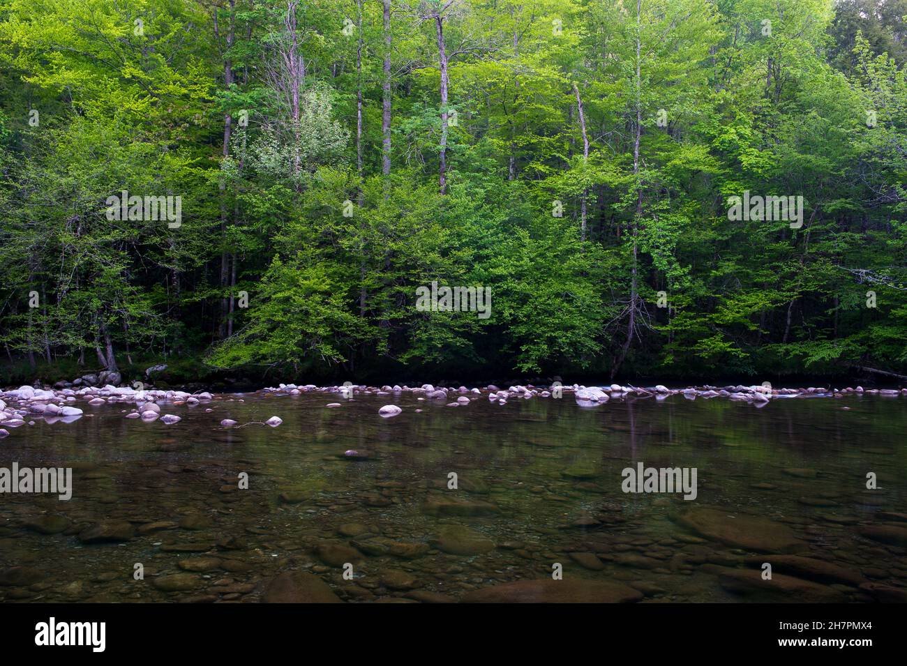 Beautiful river landscape in Great Smoky Mountains National Park ...