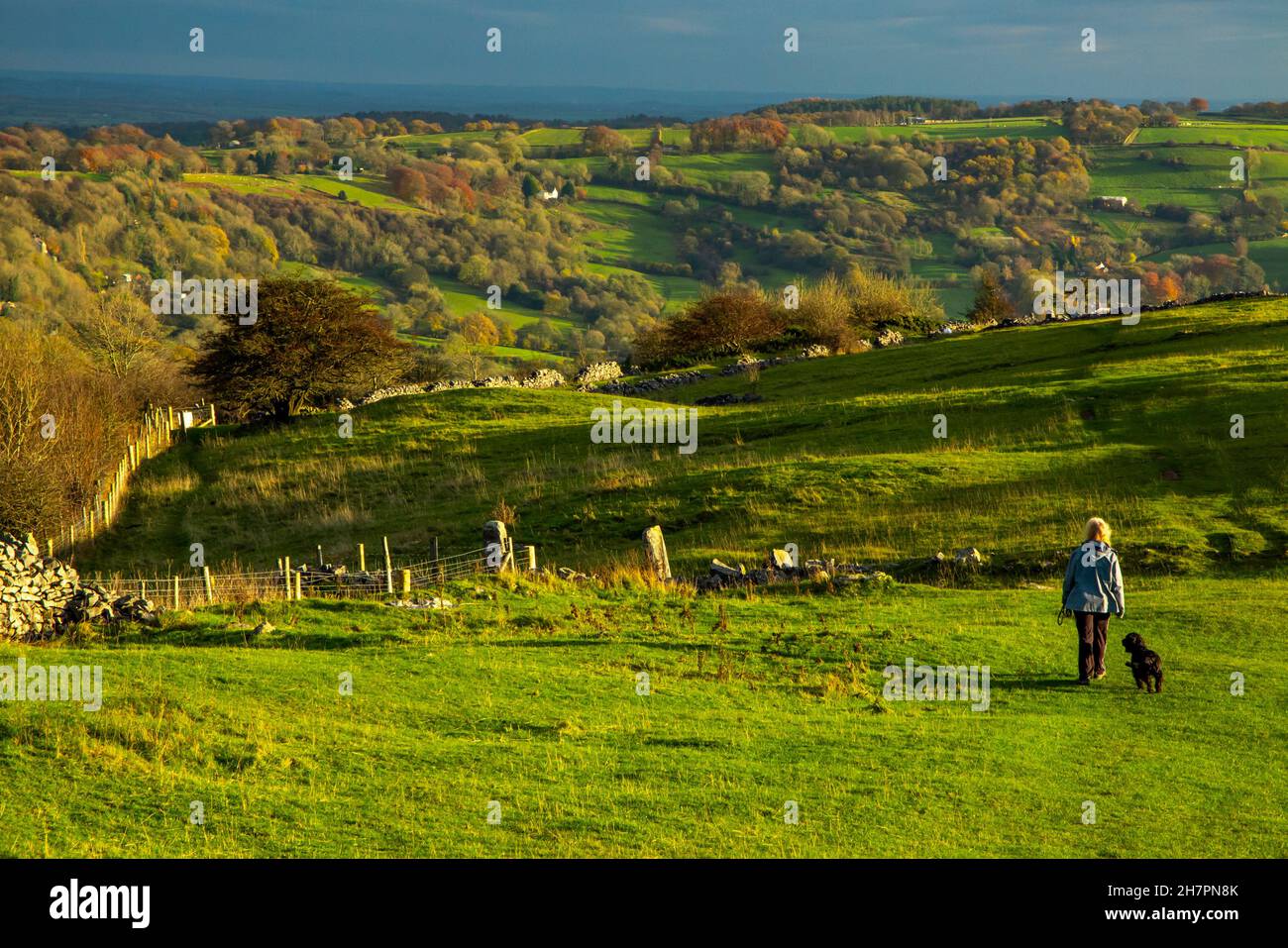 Woman walking dog in countryside at Middleton Moor near Wirksworth ...
