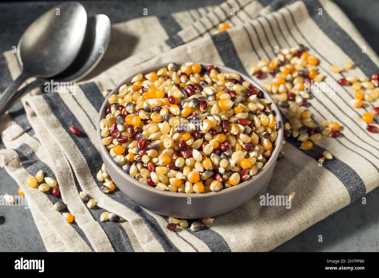 Dry Organic Assorted Rainbow Popcorn Ready to Cook Stock Photo - Alamy