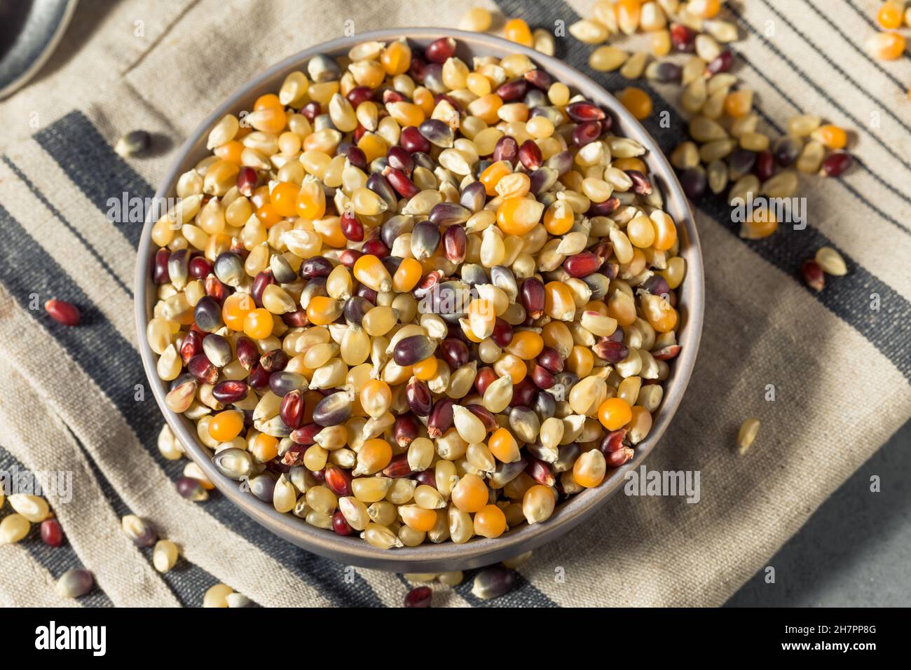 Dry Organic Assorted Rainbow Popcorn Ready to Cook Stock Photo - Alamy