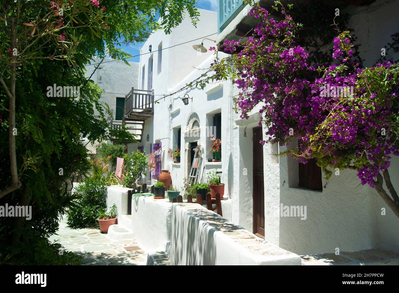 Colorful flowers, Folegandros island, Greece. Street scene in the ...